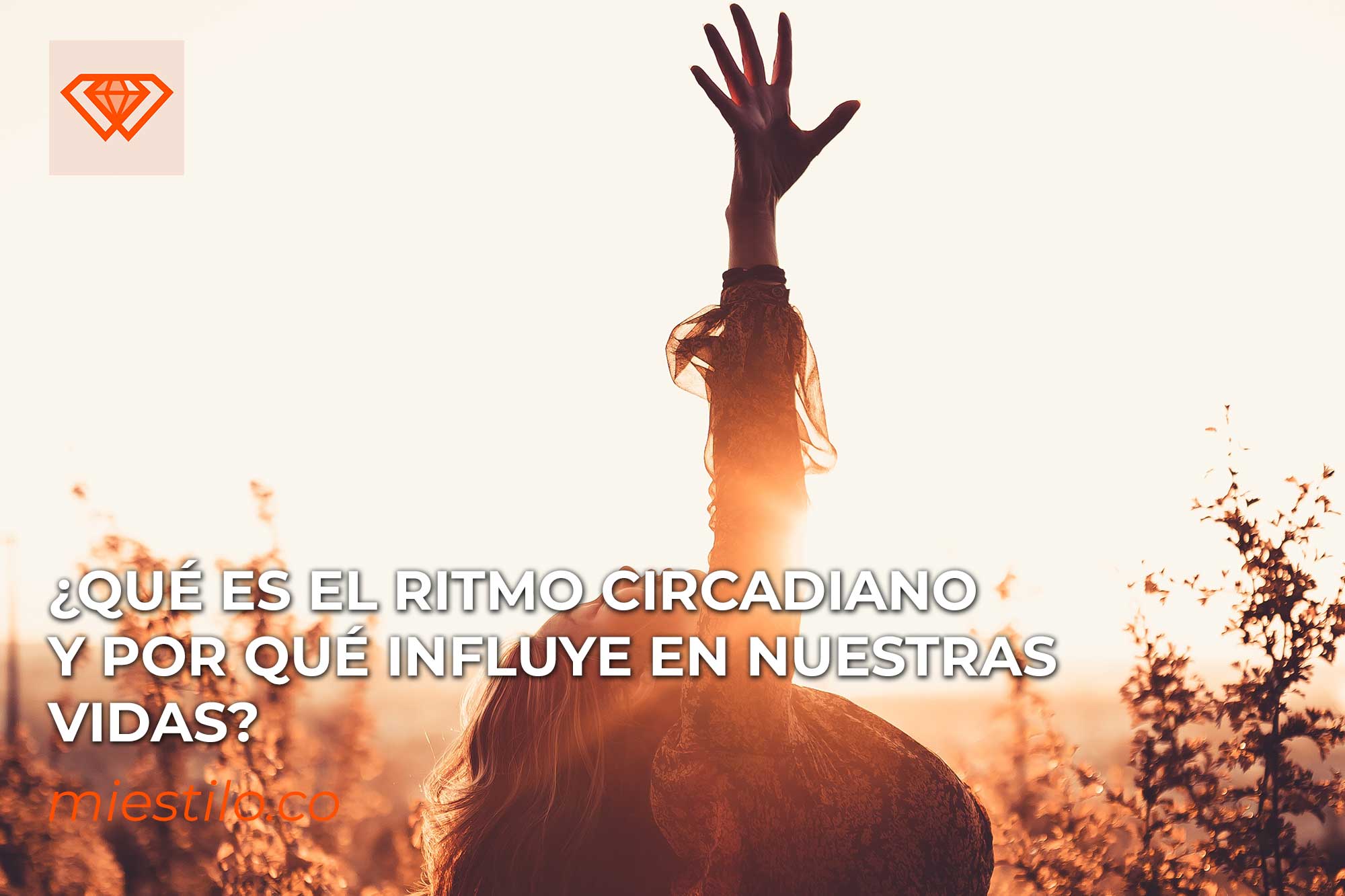 ¿Qué es el ritmo circadiano y por qué influye en nuestras vidas?