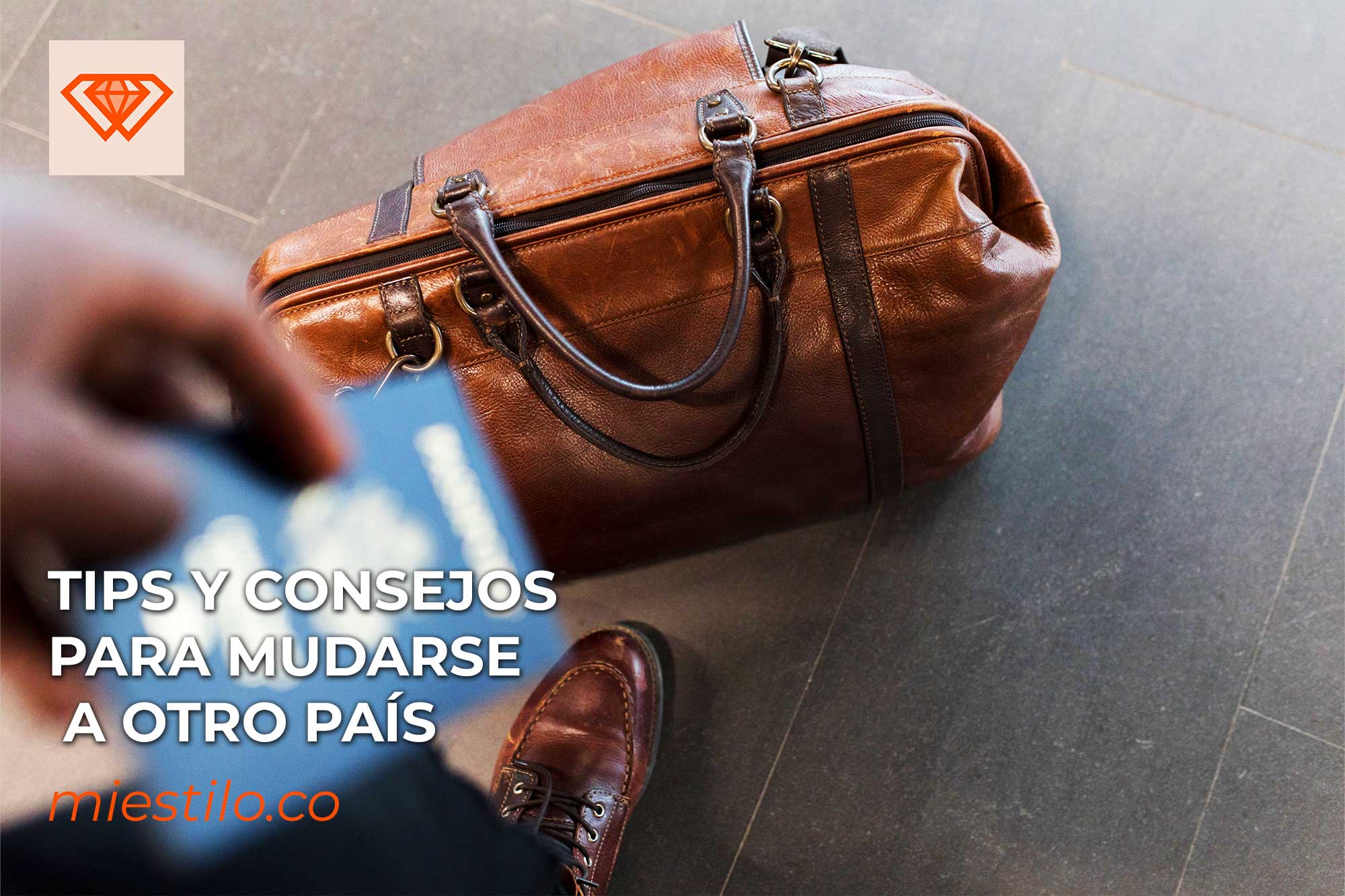 La mejor planta para tener en interiores y fácil de cuidar